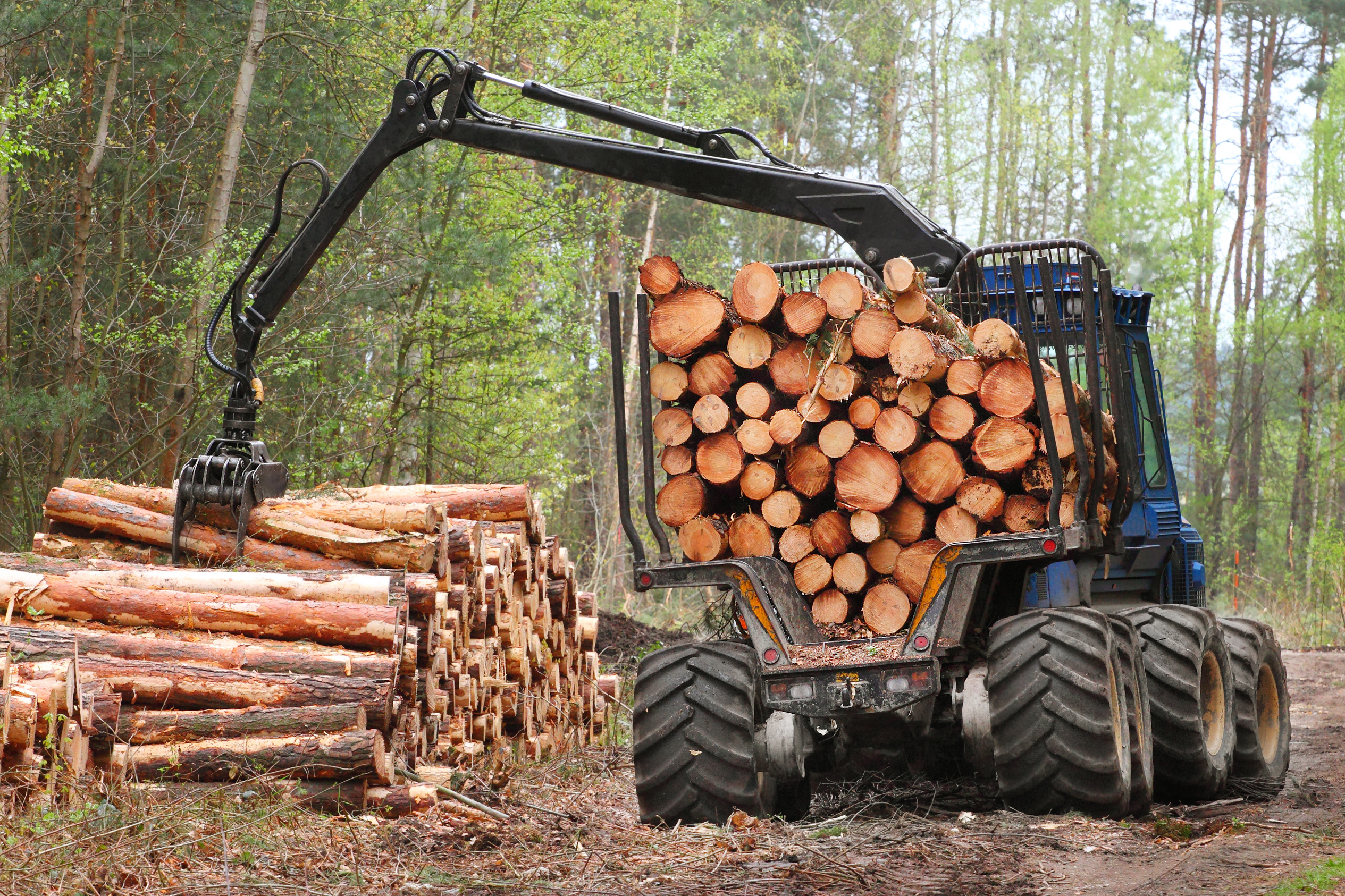 Fleet Management Forestry - RCT